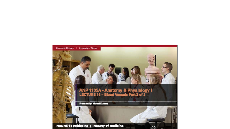 ANP 1105A Anatomy Physiology I LECTURE 16: Blood Vessels Part 2 - Studocu