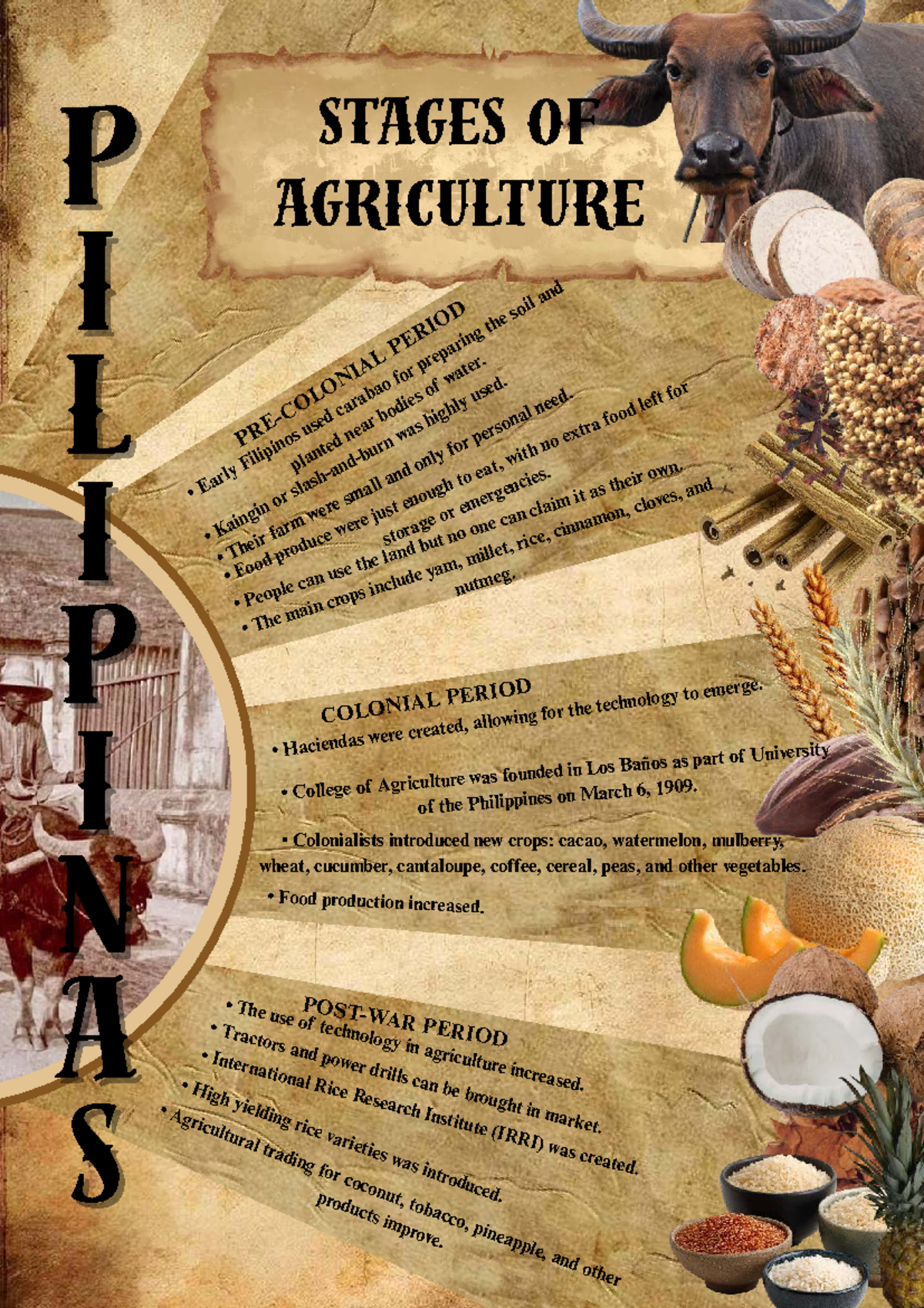 Stages of Agriculture in the Philippines: A Historical Overview - Studocu