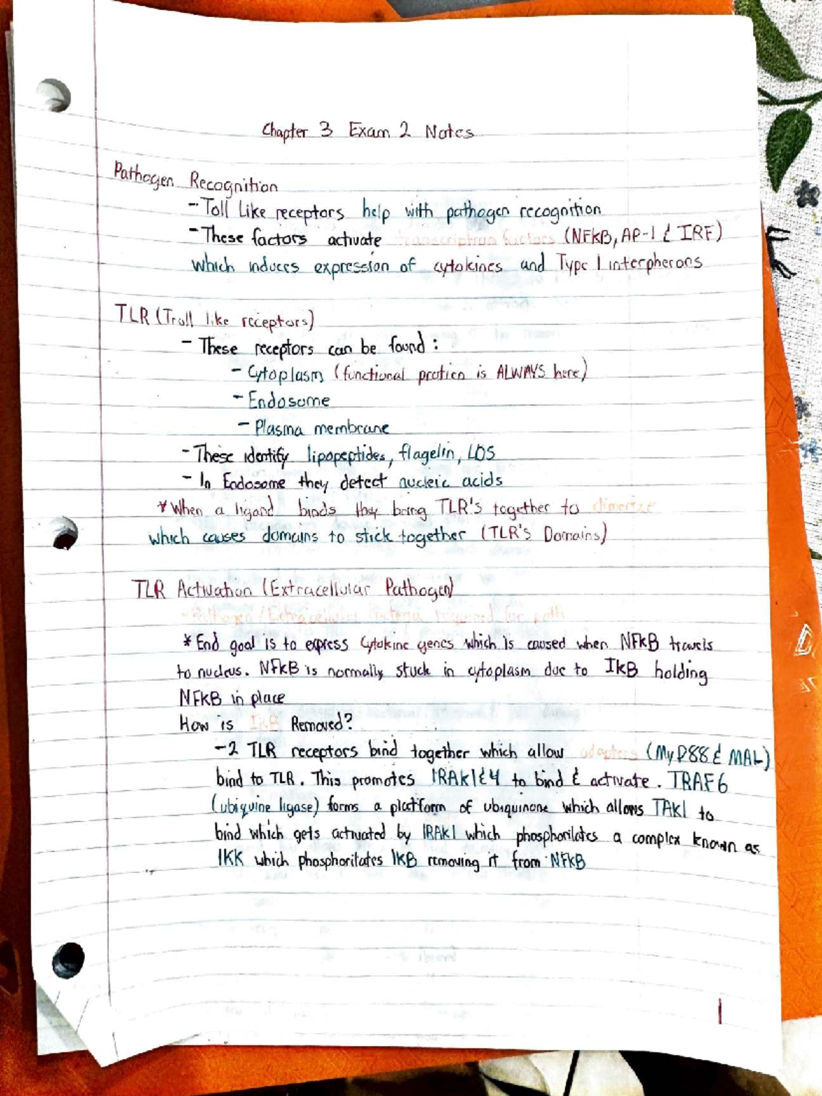 Final Exam Review - Course Code: 8323b225-8da9-44d8-8dc0-fc622d053fb2 ...