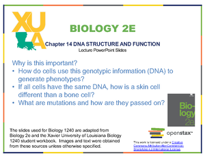 Biology 1240 Lecture Notes: Operons and Gene Expression in Prokaryotes ...