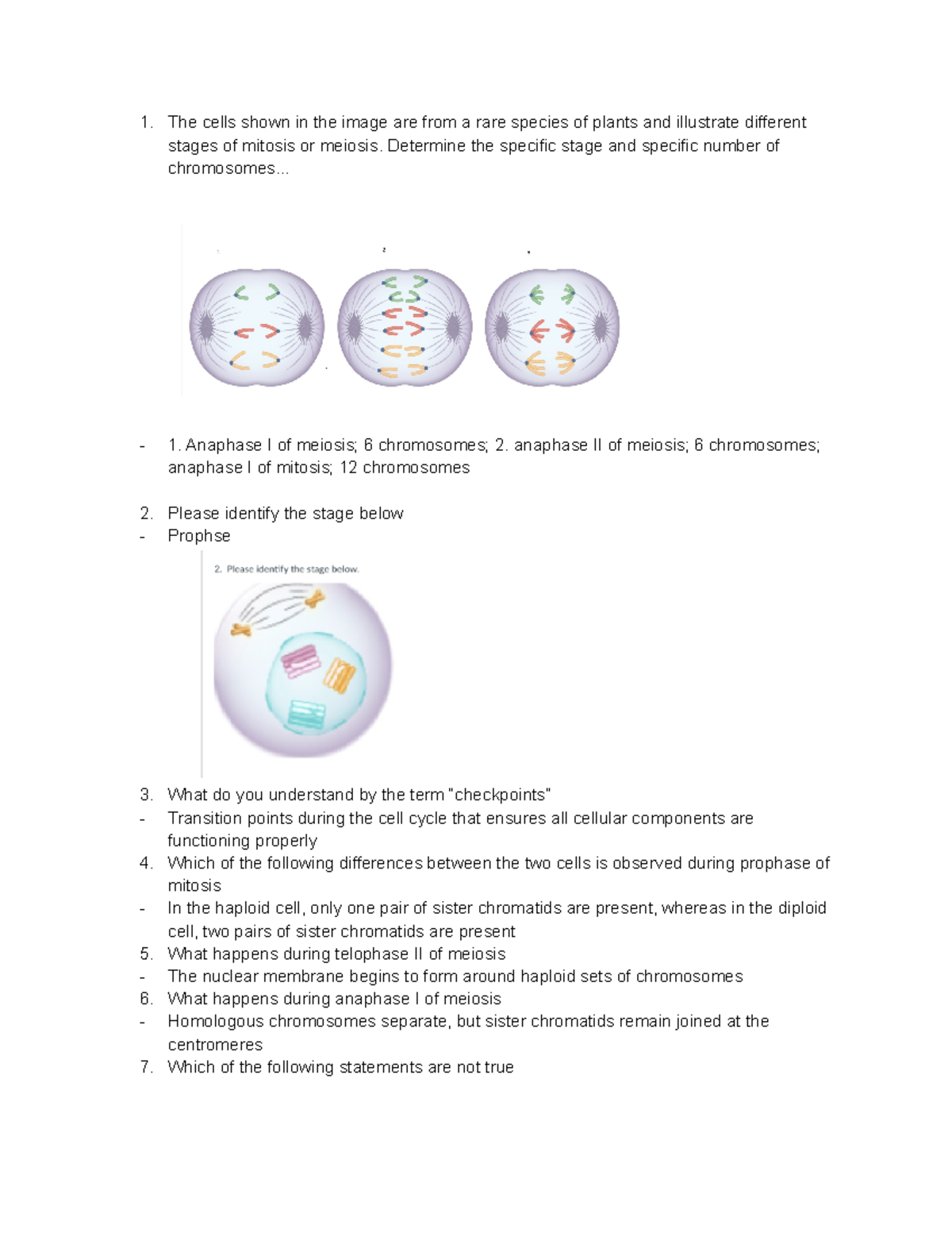 Genetics 101: Comprehensive Exam Notes and Key Concepts - Studocu