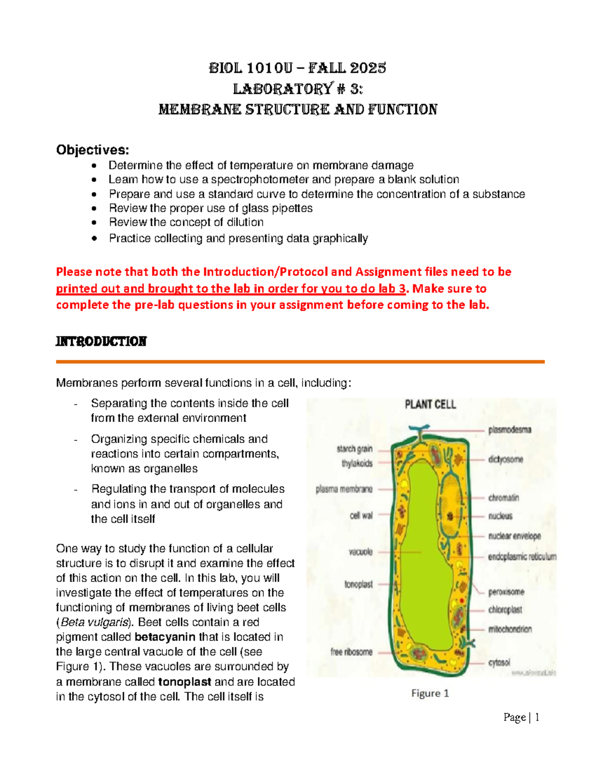 Biol 1010U Fall 2025 Lab 3: Membrane Structure & Function Protocol ...