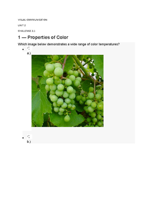 UNIT 1 Challenge 1.1 - SOPHIA LEARNING - VISUAL COMMUNICATIONS UNIT 1 ...