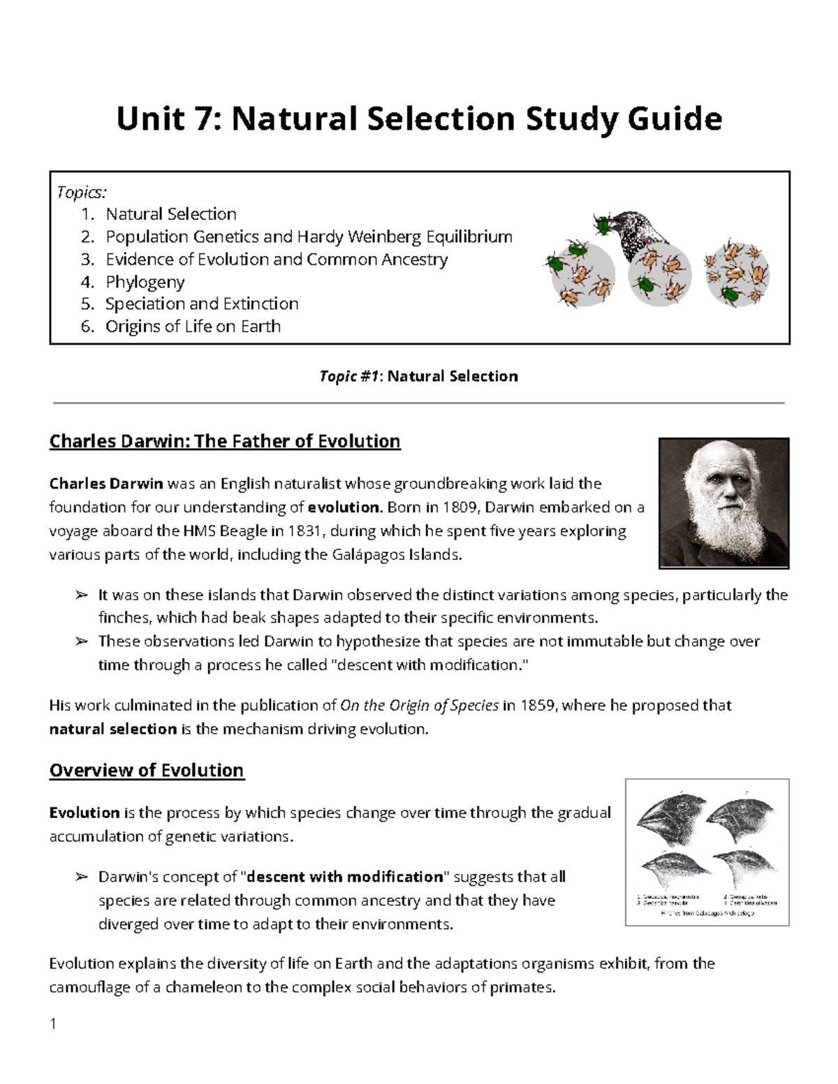 Unit 7: Natural Selection & Origins of Life Study Guide - Studocu