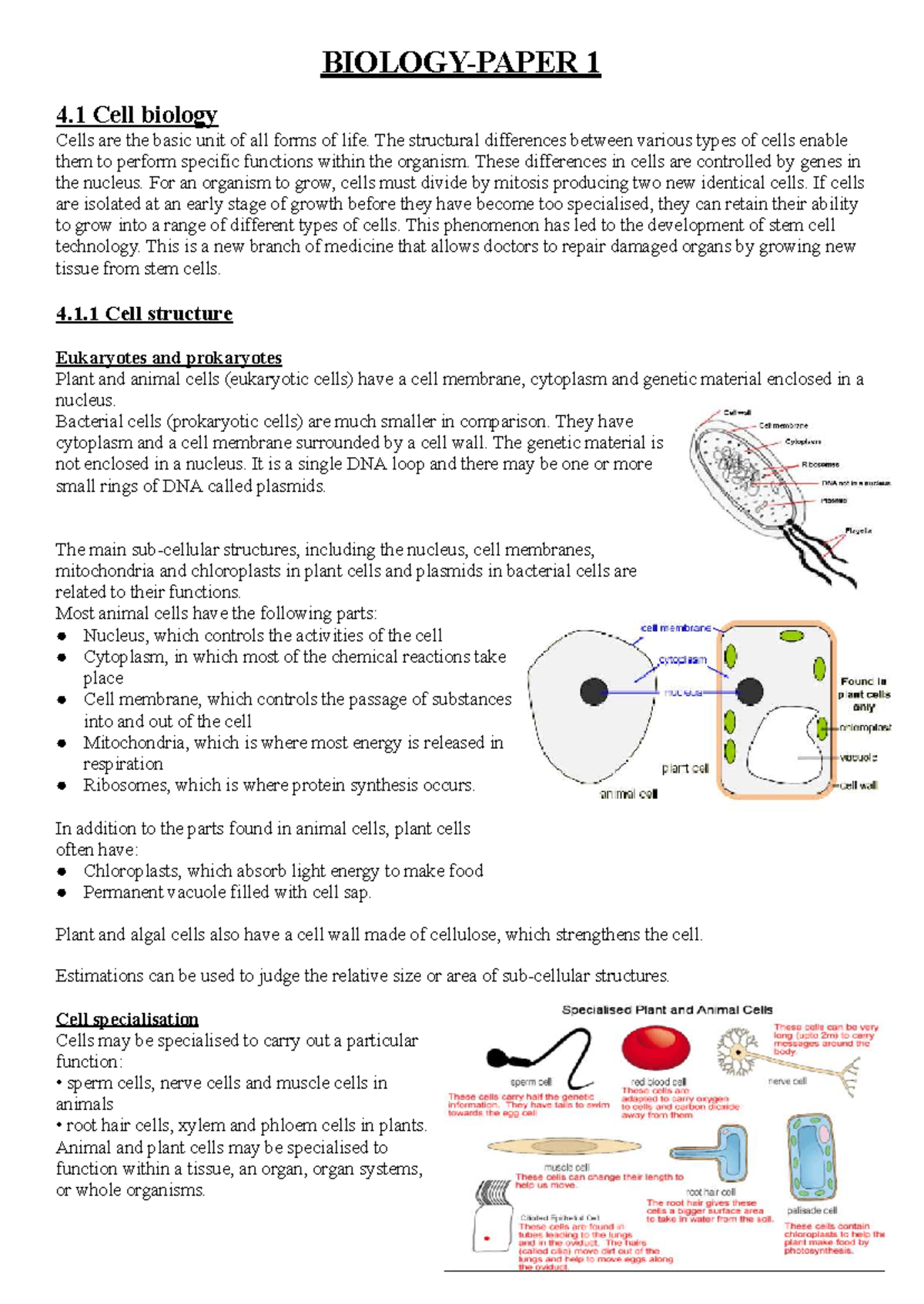 Biology Paper 1 Revision Notes: Cell Biology and Organisation - Studocu