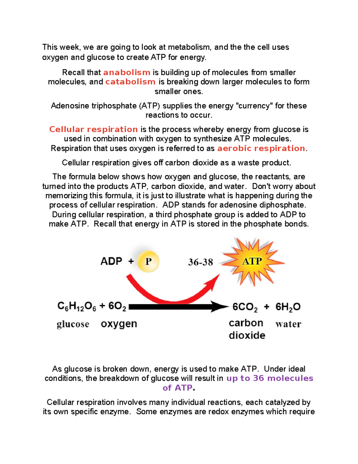 BIOL 1046 - Week 11 Study Notes on Cellular Respiration and Metabolism ...