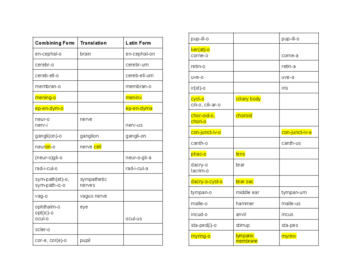 Med term ch 4 - chapter summary - Combining Form Translation Latin Form ...