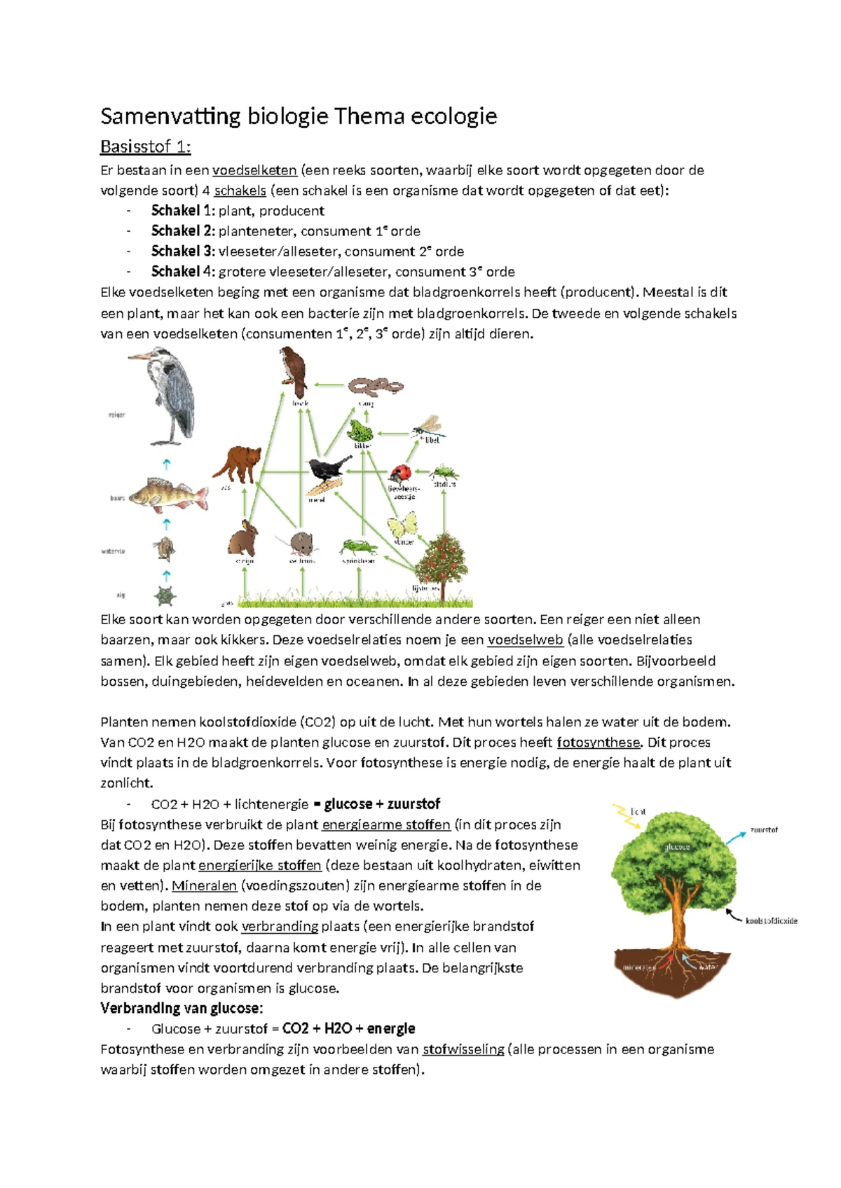 Biologie Verslag SE1: Structuur en Functies van Bladeren - Studeersnel