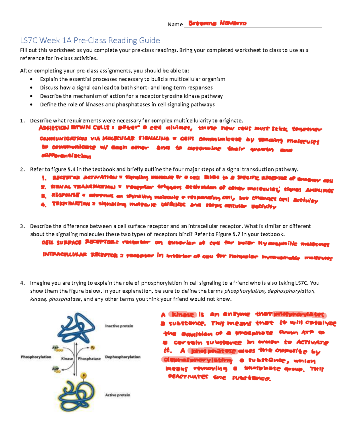 LS7C Week 1A Reading Guide: Multicellularity & Cell Signaling - Studocu