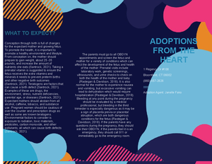 [Solved] Definition of Rhoda Kelloggs stages scribbles placement shape ...