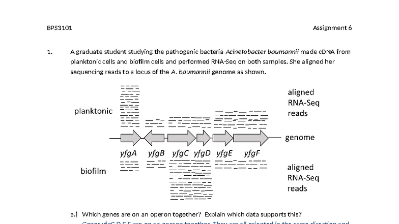 BPS3101 Assignment 6: Analysis of A. baumannii Gene Expression and ...