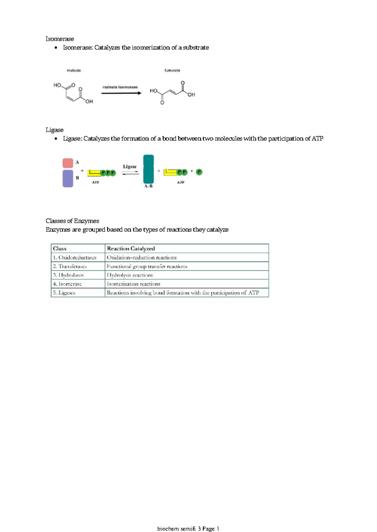 Biochem semifi 3 - Biochemistry - Isomerase: Catalyzes the ...
