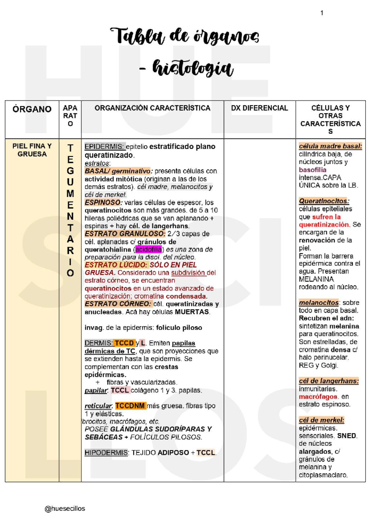 Tabla de Órganos en Histología: Características y Diferencias - Studocu