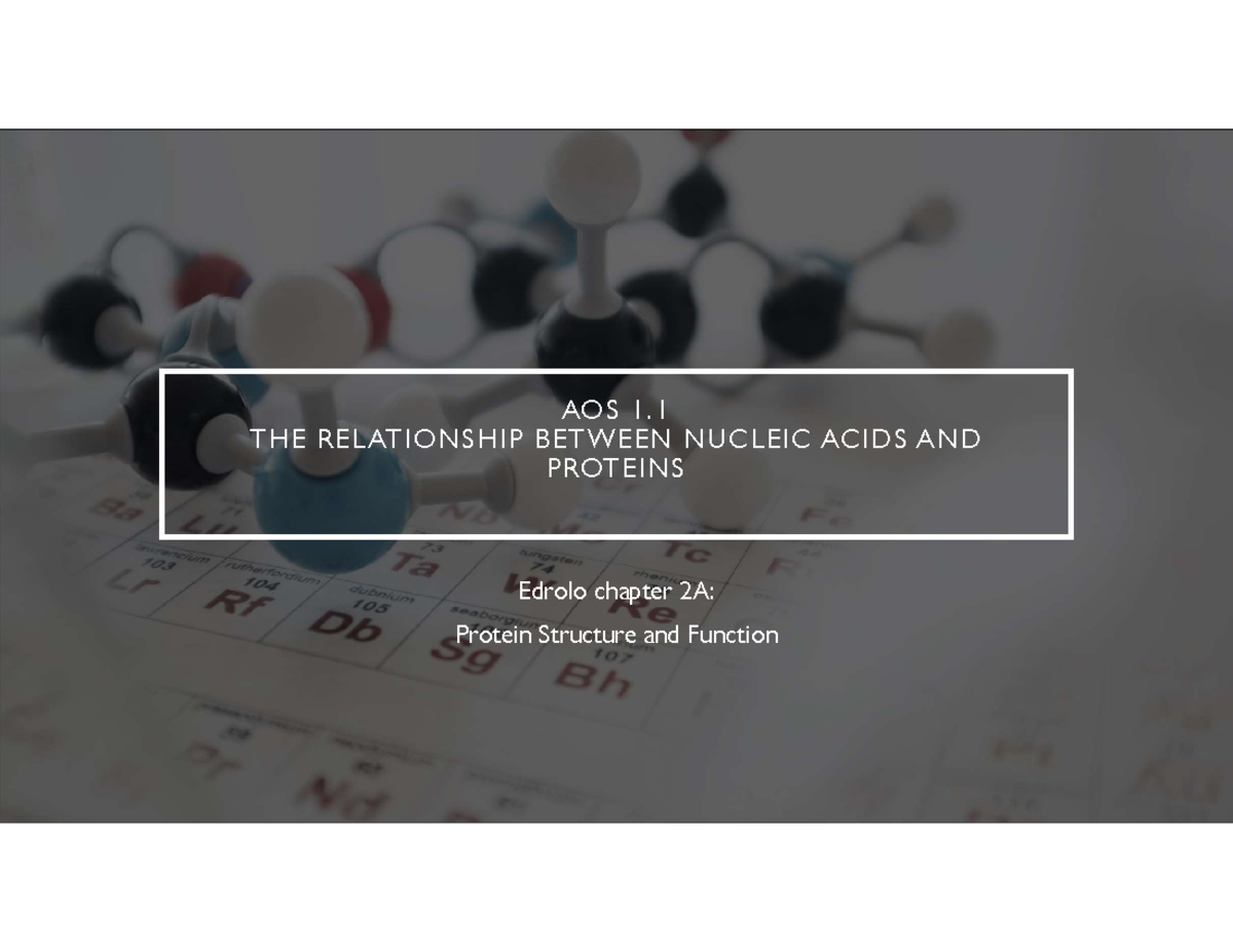 2A Protein Structure and Function - AO S 1. 1 TH E REL ATI ONSH I P ...