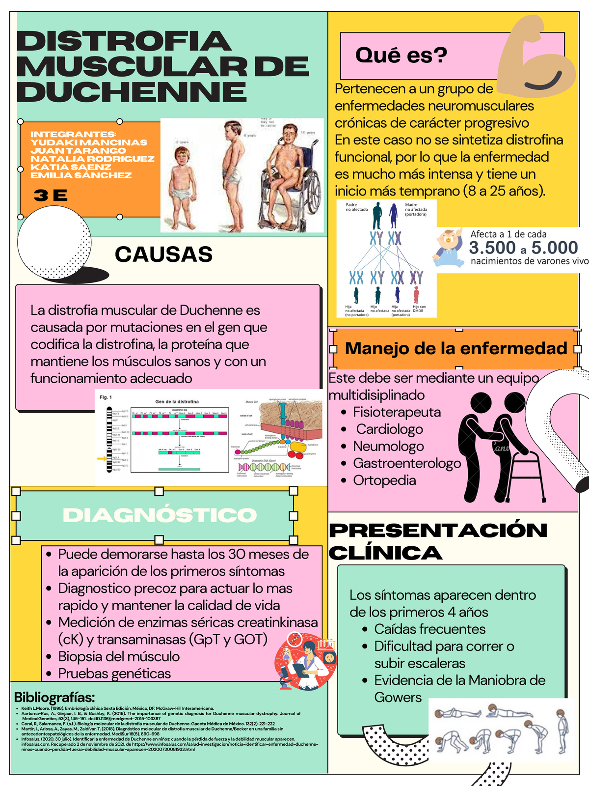 Distrofia muscular de Duchenne - Diagnóstico Integrantes:yudaki ...