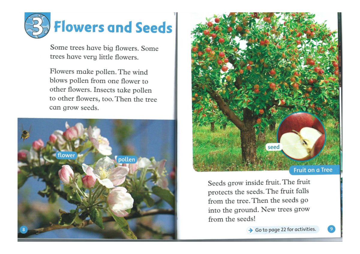 Tree C3 - Test: Understanding Flowers, Seeds, and Growth - Studocu