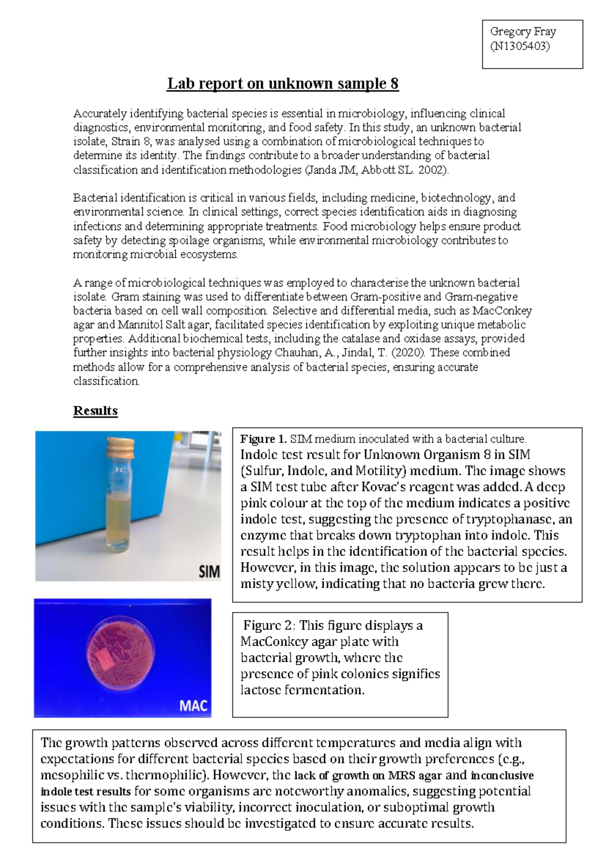 Lab Report on Unknown Sample 8 (N1305403): Bacterial Identification ...