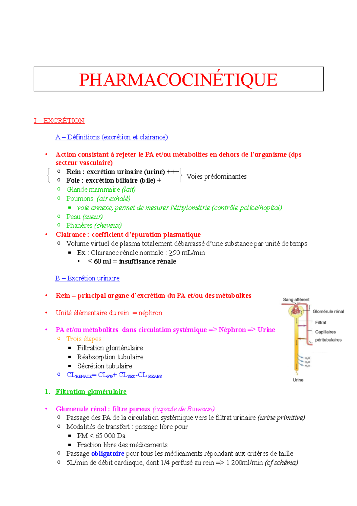 UE 6-5 - Notes de Cours en Pharmacocinétique: Excrétion et Clairance ...
