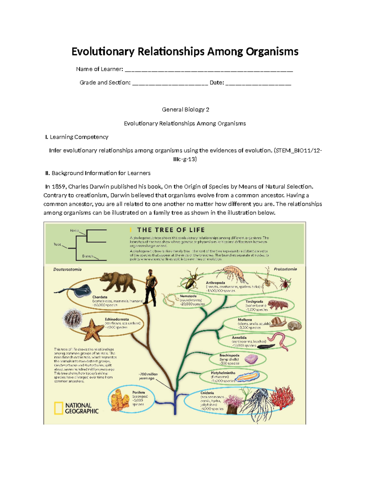 Biology MELC 8: Evolutionary Relationships & Phylogenetic Analysis ...