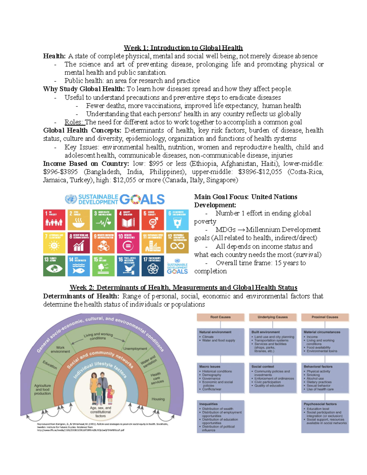 Global Health Midterm Exam Review: Key Concepts & Determinants - Studocu
