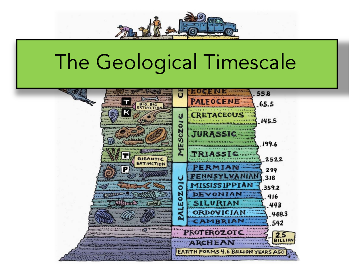 Geological Timescale & Evolution Overview (Biol 240 Fall 2025) - Studocu