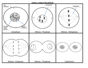 Science 8 DLL Q3 - Negros Island Region DIVISION OF NEGROS OCCIDENTAL ...