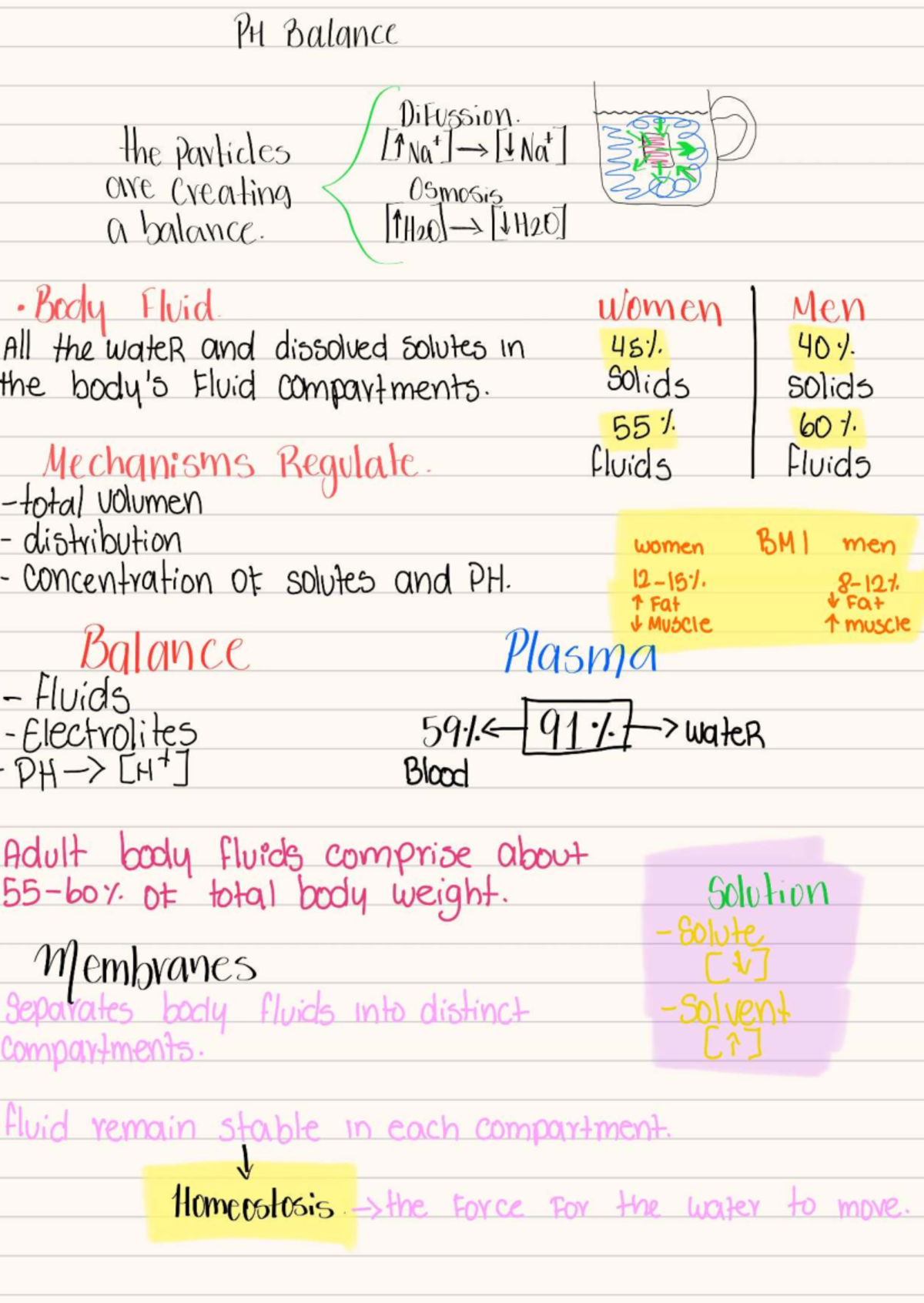 PH Balance and Fluid Homeostasis: Understanding Body Fluid Regulation ...