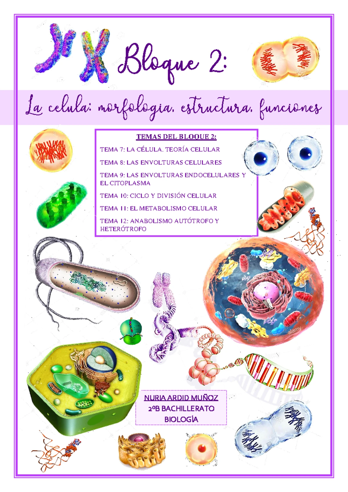 Preguntas Resueltas sobre Inmunidad y Mutaciones en Biología (16.1-16. ...