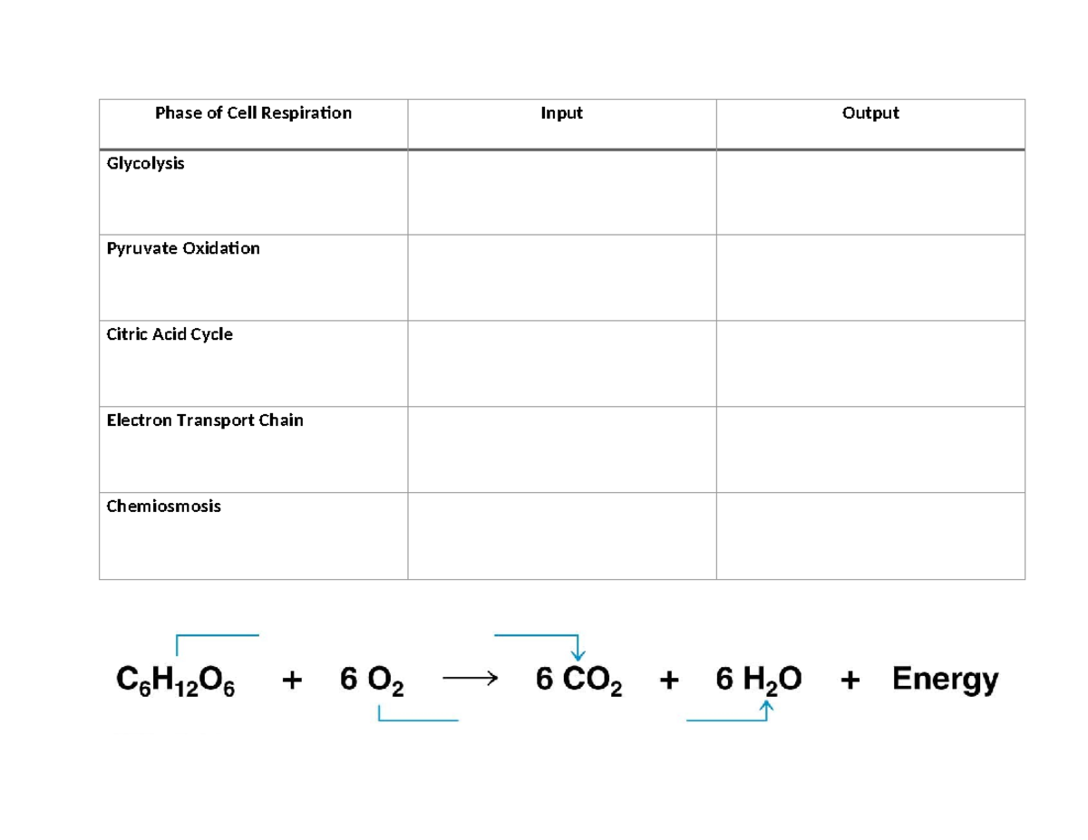 CR Input output-1 - LIFE 120 - Phase of Cell Respiration Input Output Glycolysis Pyruvate ...