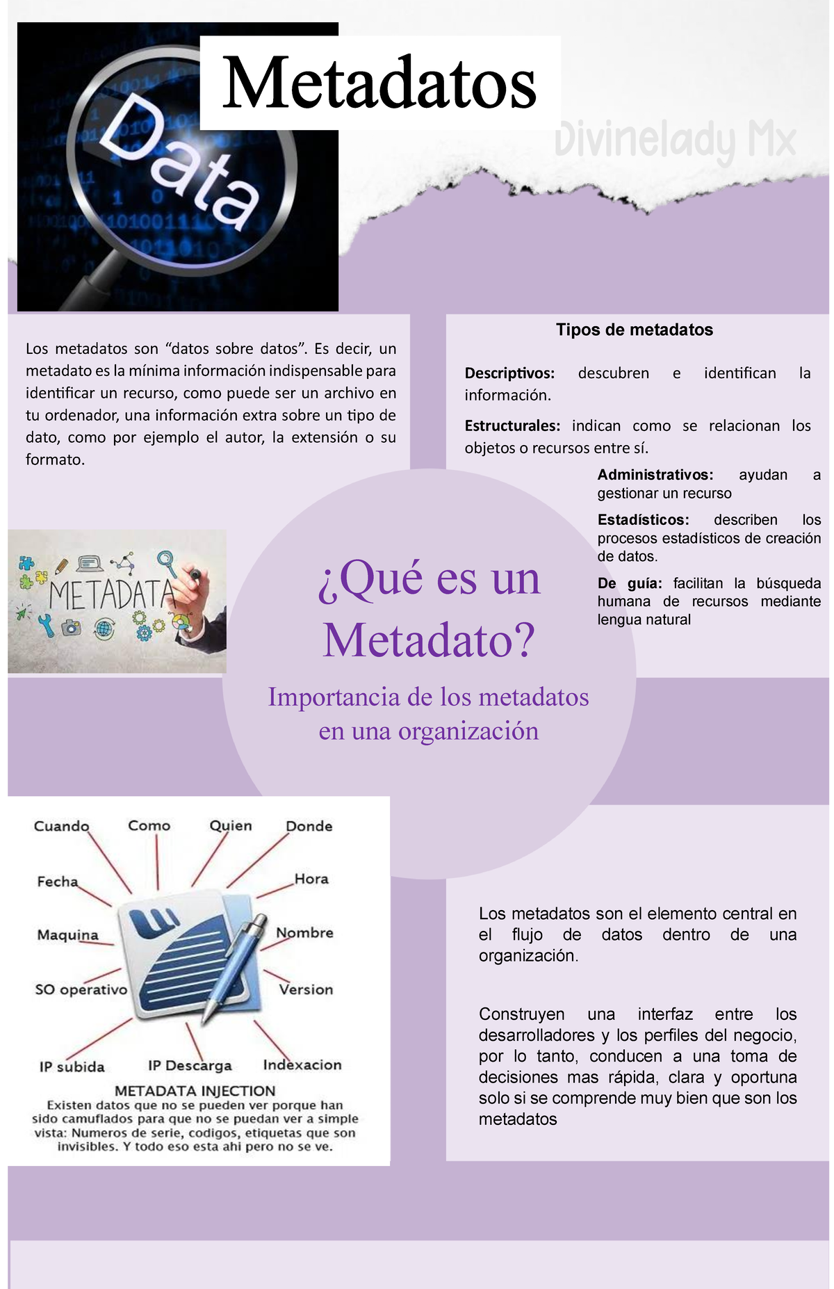 Infografía sobre Metadatos: Importancia y Tipos en Organizaciones - Studocu