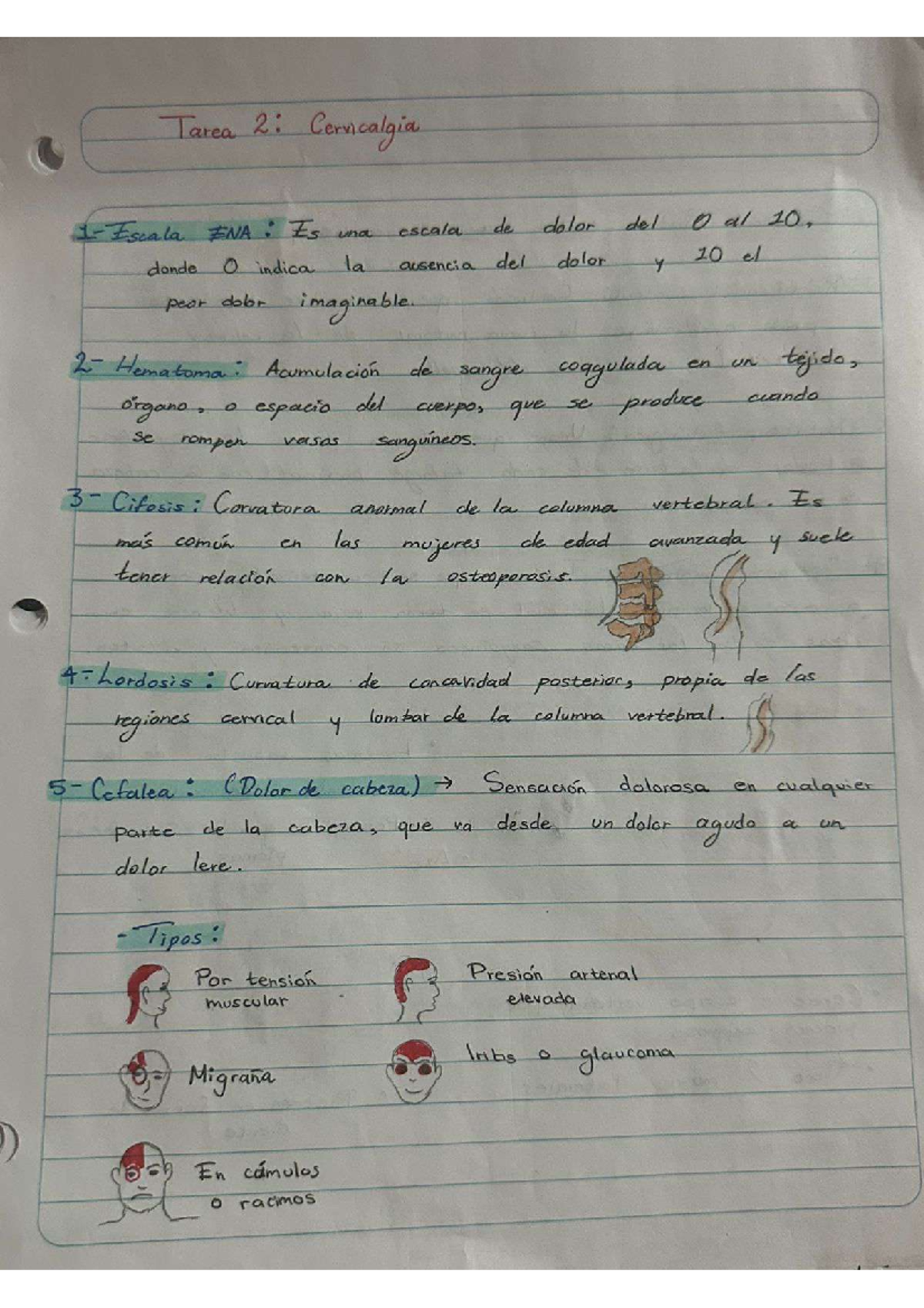 Resumen Anatomía Fany - Tarea 2: Cernicalgia Escala ENA : Es una escala ...