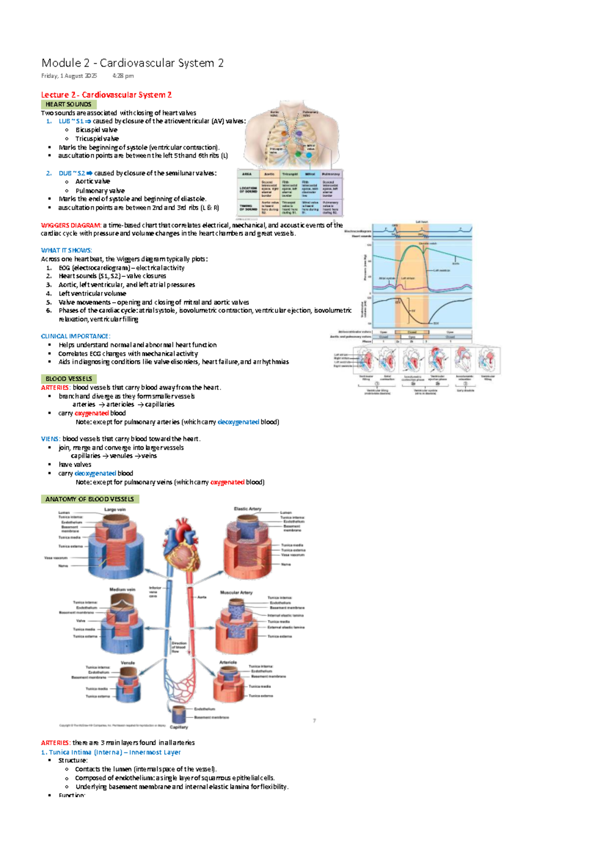 Module 2 - Cardiovascular System 2: Lecture Notes on Heart Sounds and ...
