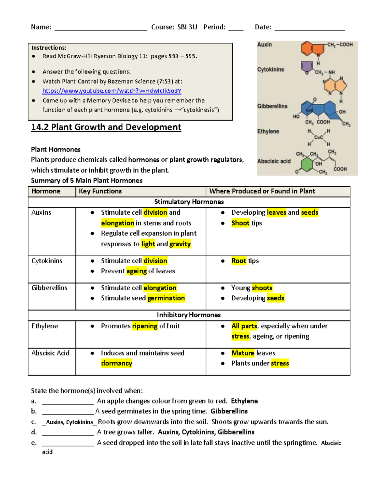 Biology SBI 3U: Plant Hormones and Growth Responses Study Notes - Studocu