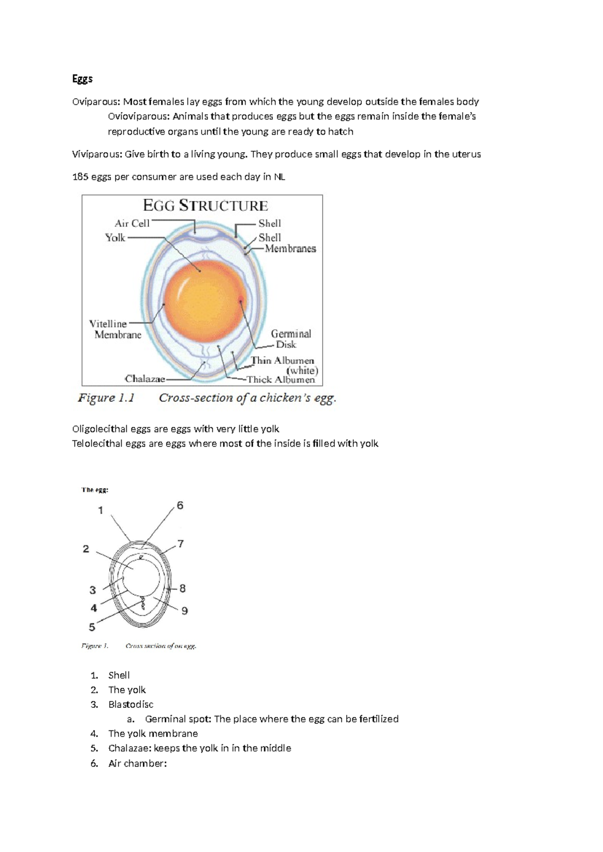 Egg Summary: Overview of Case Study 1 on Oviparous Reproduction ...