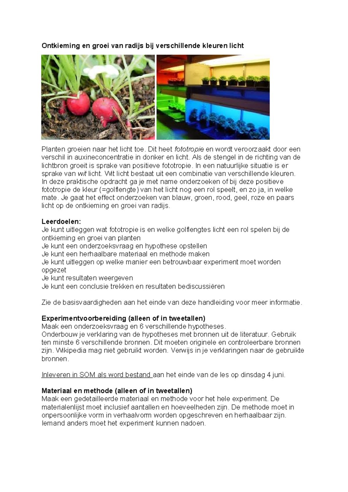 PO-P4-5V - Onderzoek naar de Ontkieming van Radijsjes onder ...