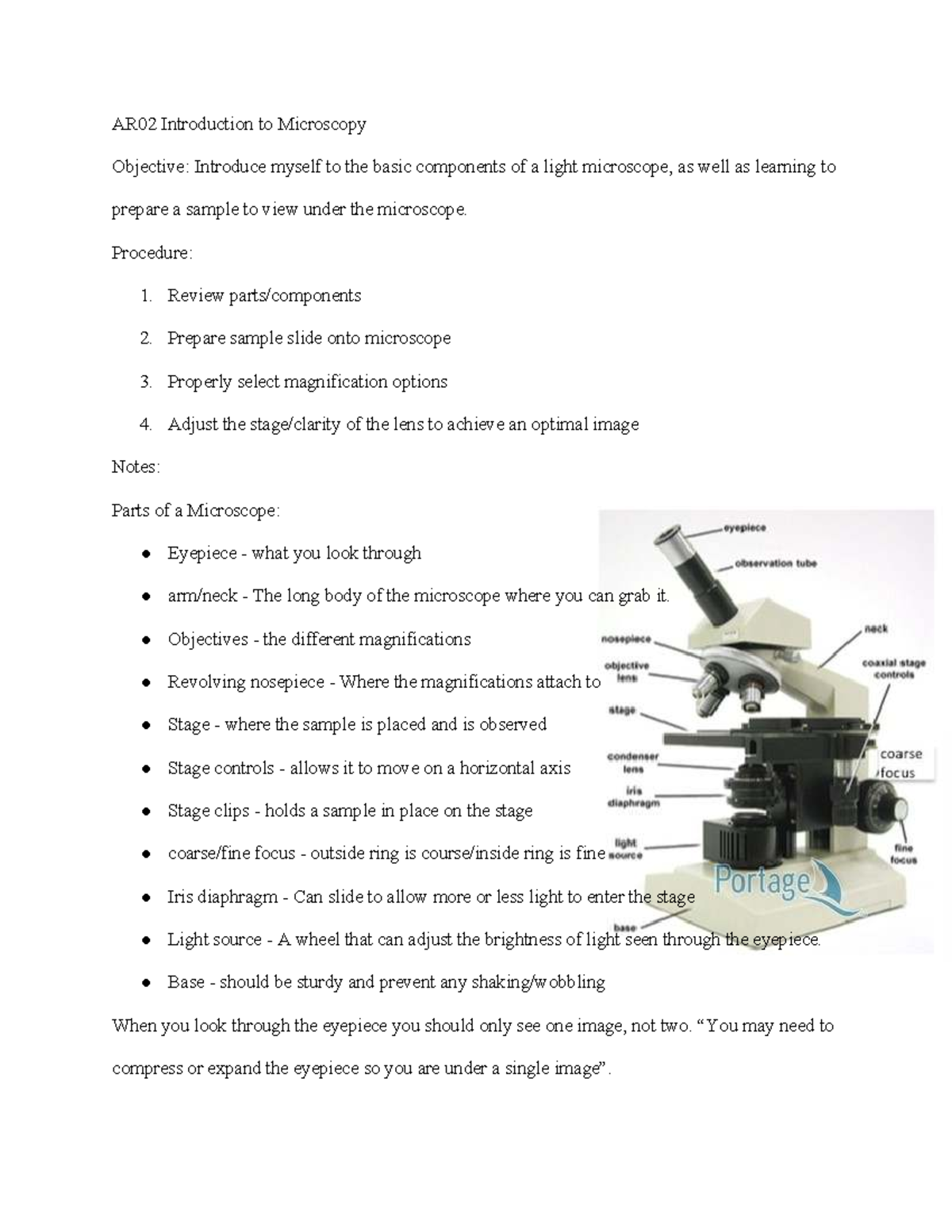 AR02 Lab Notebook: Intro to Microscopy Techniques and Components - Studocu