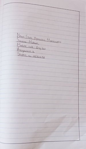 Language Structures and Conventions - Language Structures and ...