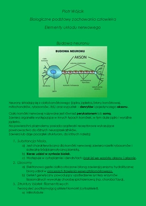 Budowa Mózgu: Szczegółowy Opis Struktur i Bruzd Mózgowych - Studocu