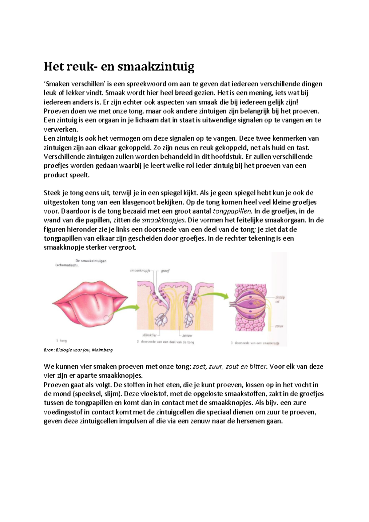 Het reuk- en smaakzintuig: Feiten en Functies in Proeven - Studeersnel