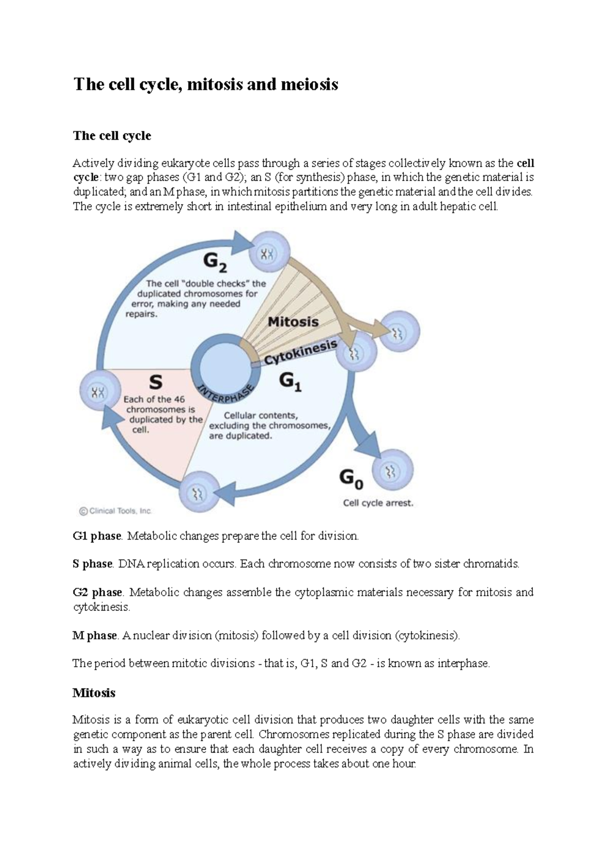 Cell division and replication - The cell cycle, mitosis and meiosis The ...
