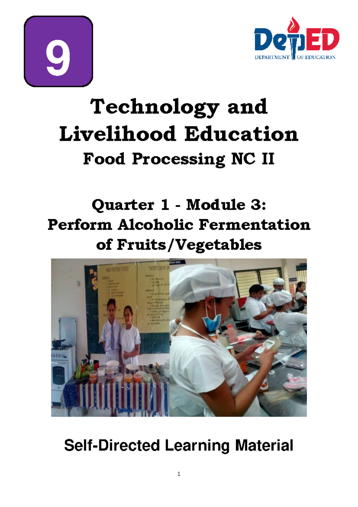 Module 3 FP9: Alcoholic Fermentation of Fruits/Vegetables Guide - Studocu