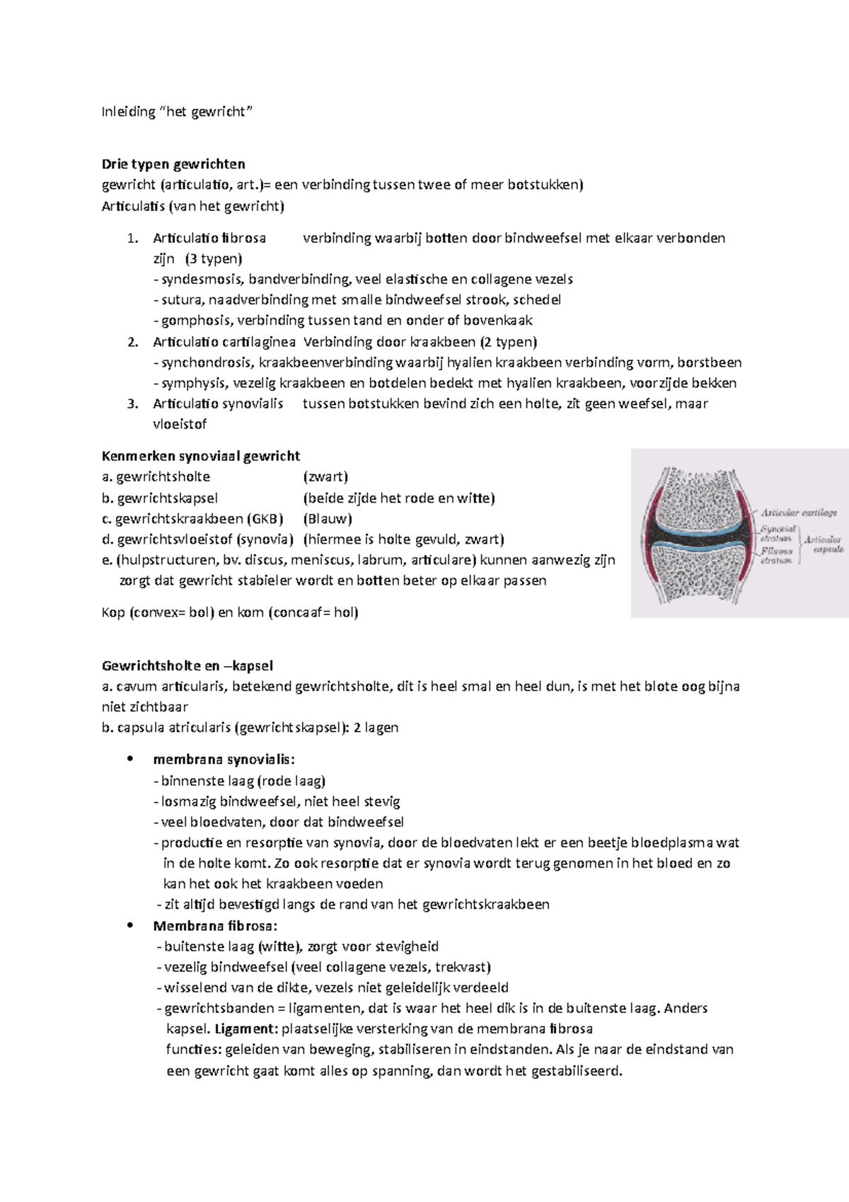 Inleiding tot het gewricht: Typen, Kenmerken en Bewegingen - Studeersnel