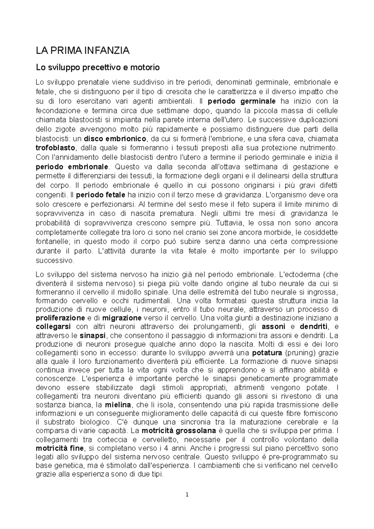 Riassunto manuale - LA PRIMA INFANZIA Lo sviluppo precettivo e motorio ...
