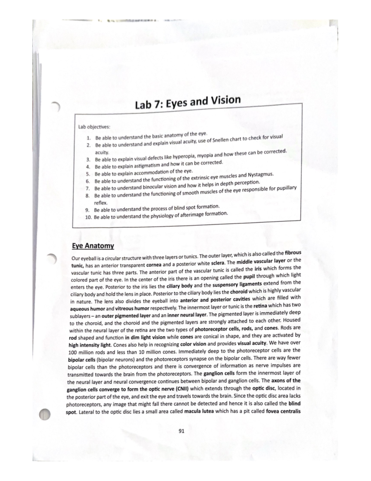 Lab 7: Vision Concepts and Eye Anatomy in Biology 101 - Studocu