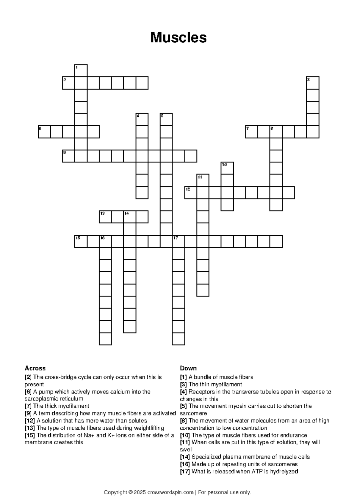 Crossword #3 Muscles - cheatsheet - Copyright © 2025 crosswordspin ...