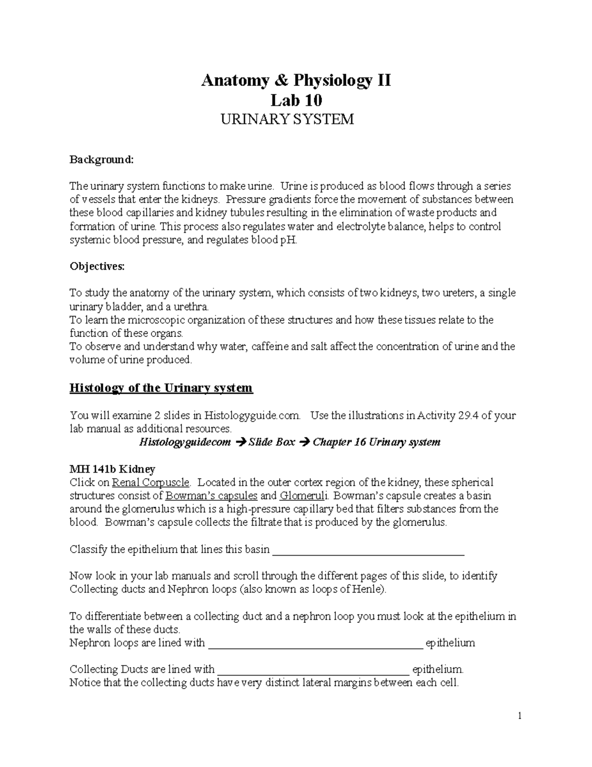 Urinary lab guide - Anatomy & Physiology II Lab 10 URINARY SYSTEM ...