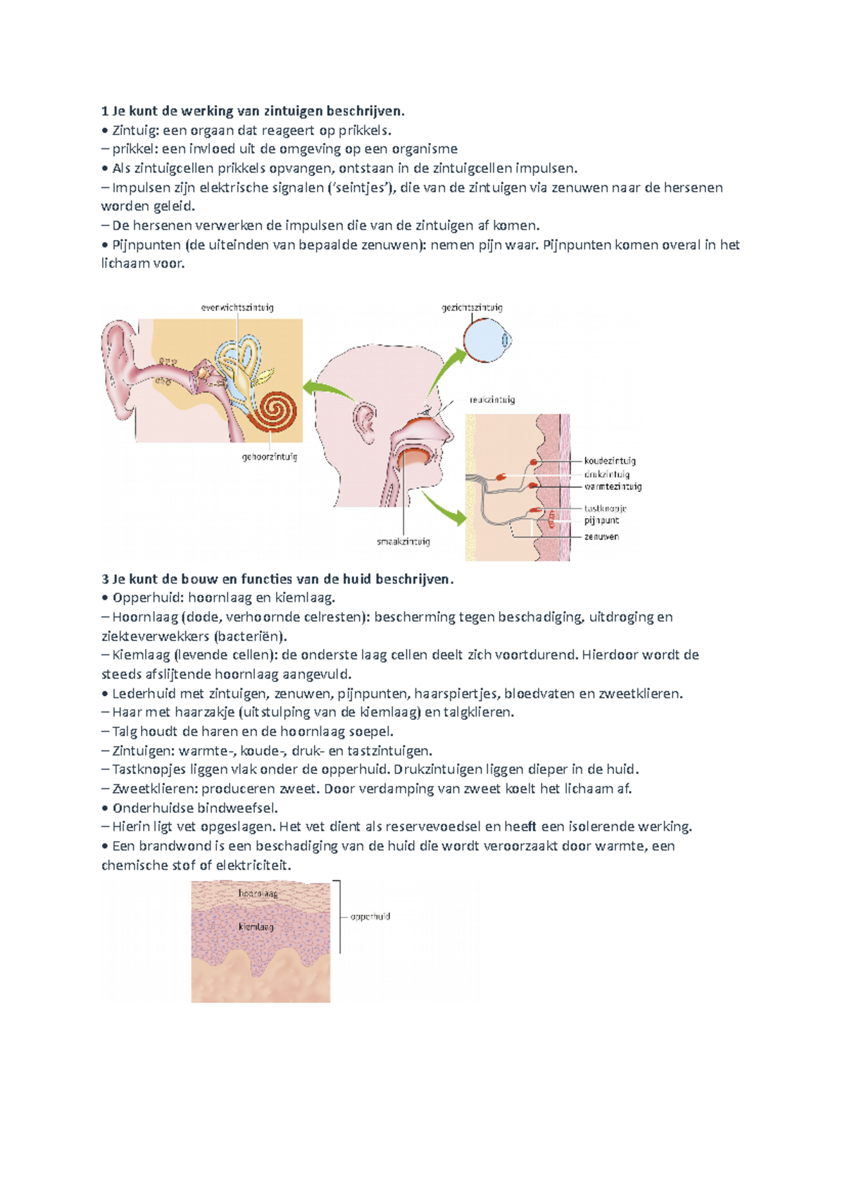 Biologie Thema 5: Samenvatting van Zintuigen en Gedrag - Studeersnel