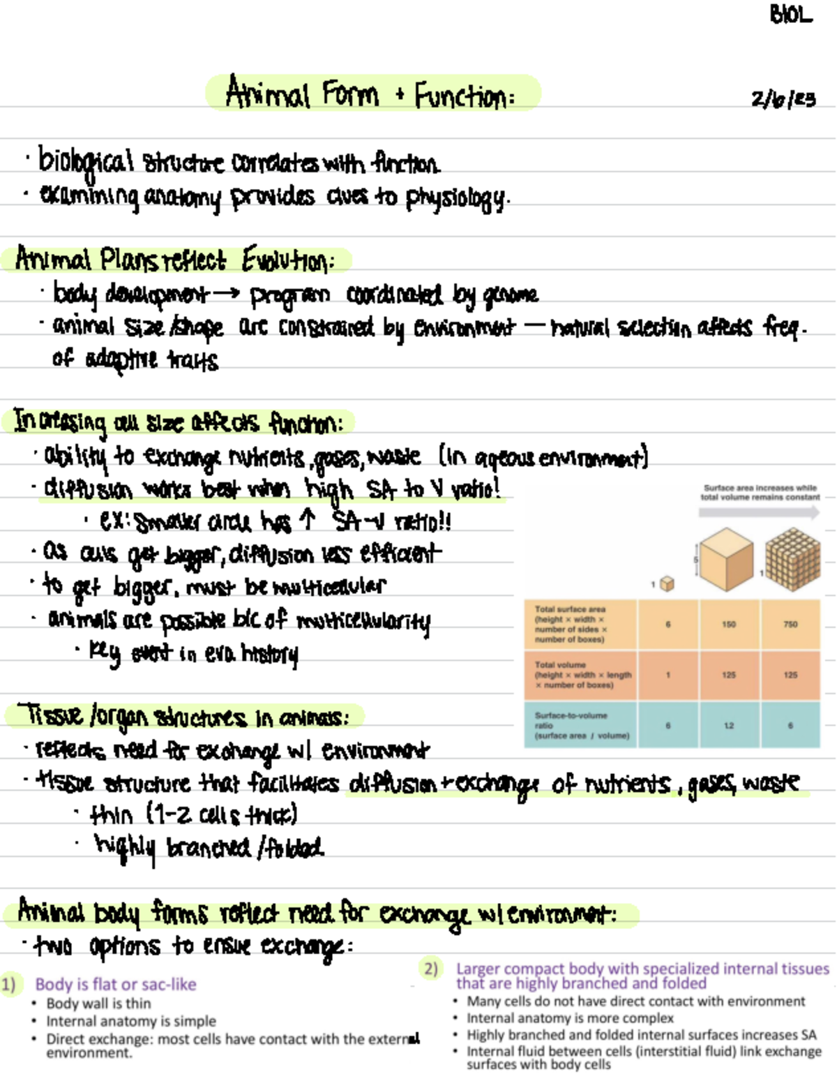 Biol 102 animal form and function - BIOL AnimalForm Function. 2/0 ...