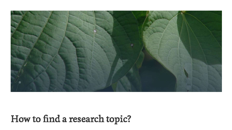 Finding and Choosing Research Topics: A Strategic Guide - Studocu