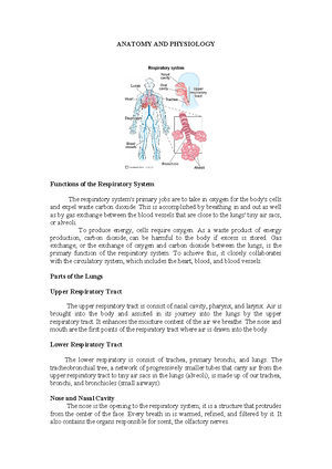 DRUG Study: Salbutamol + Ipratropium Mechanism & Nursing ...